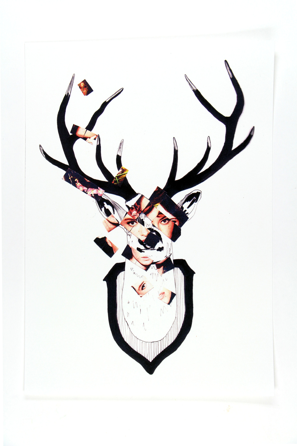 STAG HEAD COLLAGE - Ellie Humphreys Designs and Illustrations