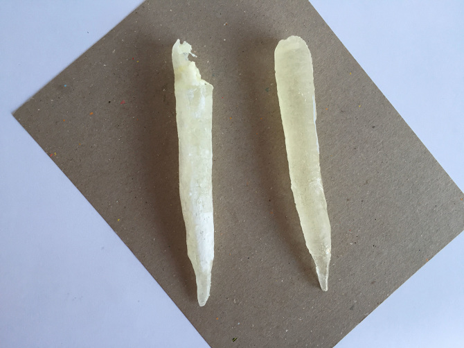 Carrot - Kayla Schroeder