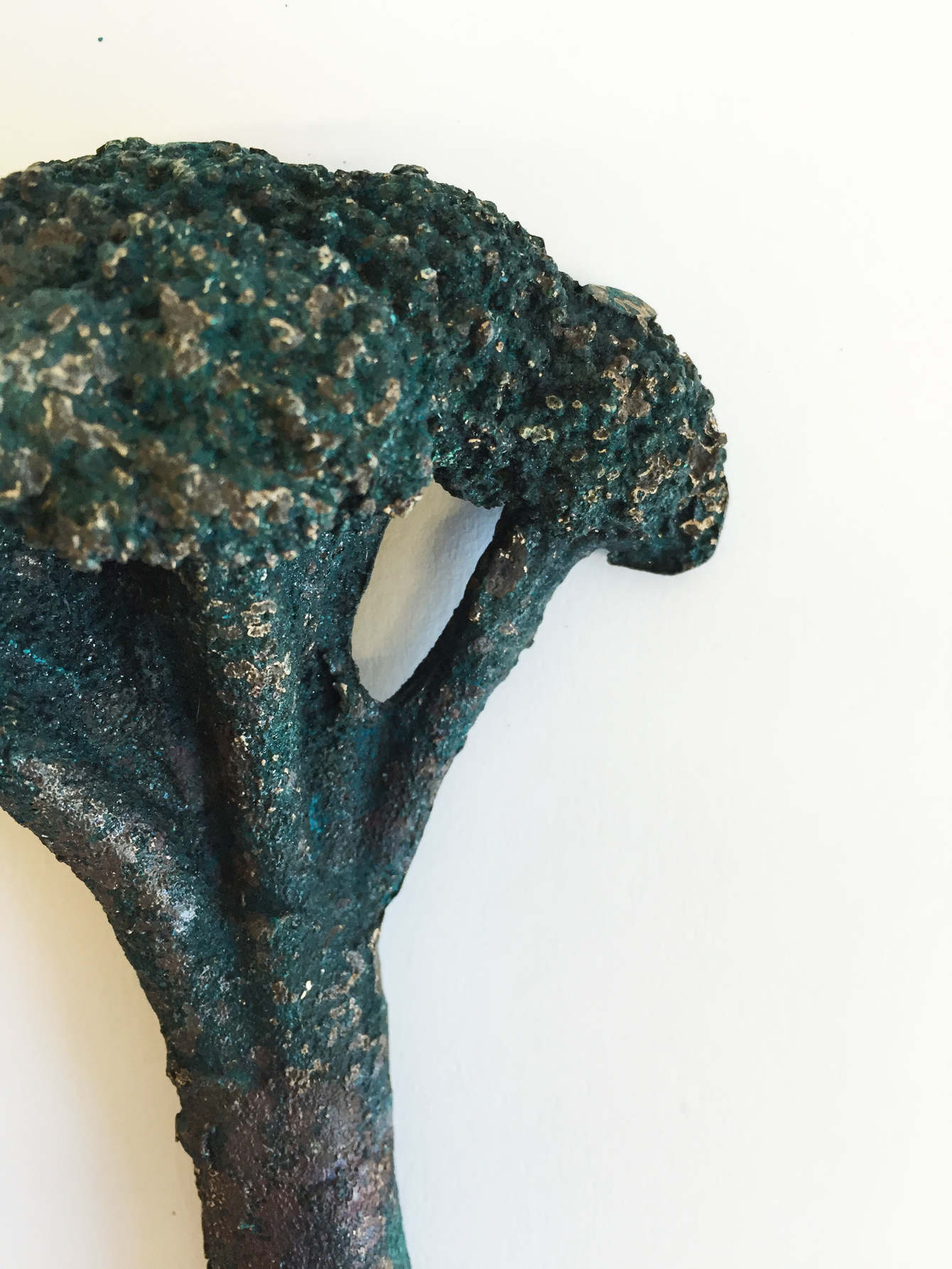 Broccoli - Kayla Schroeder