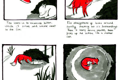 Storyboards - Fox + Hare Animations