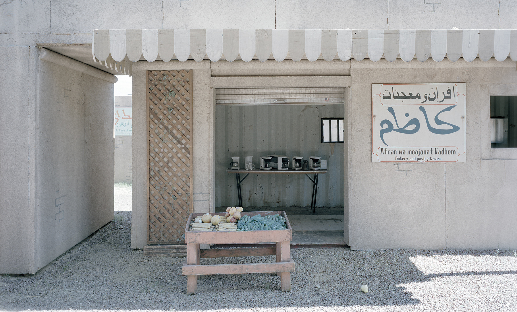 The Potemkin Village - Gregor Sailer