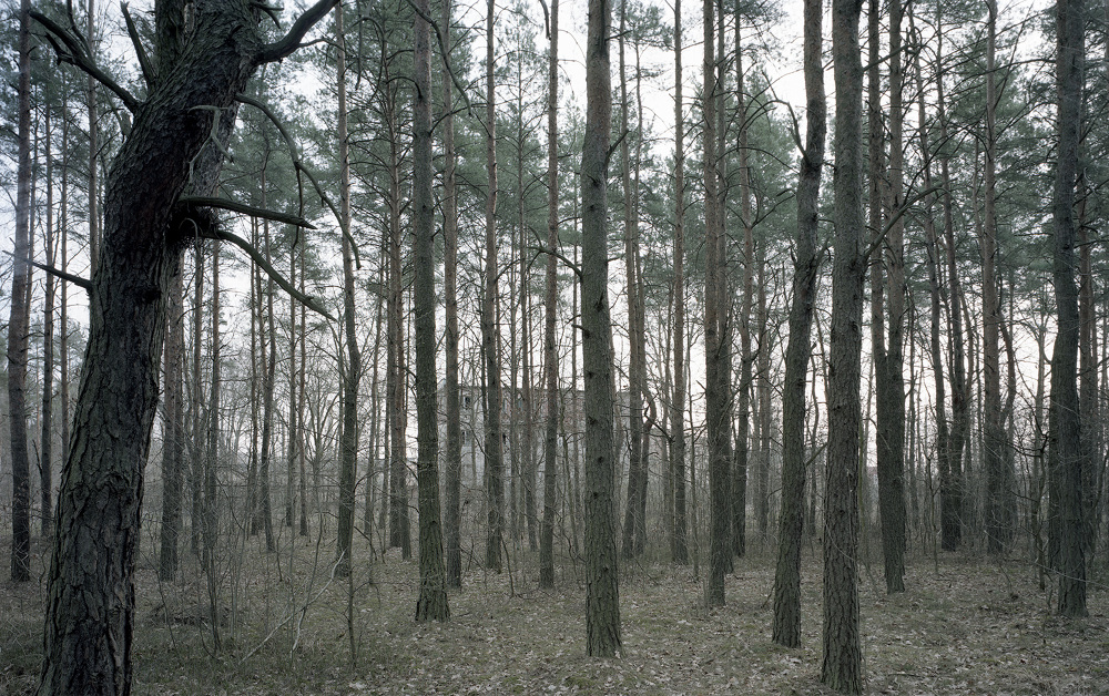 Polish Brick Factories - Gregor Sailer