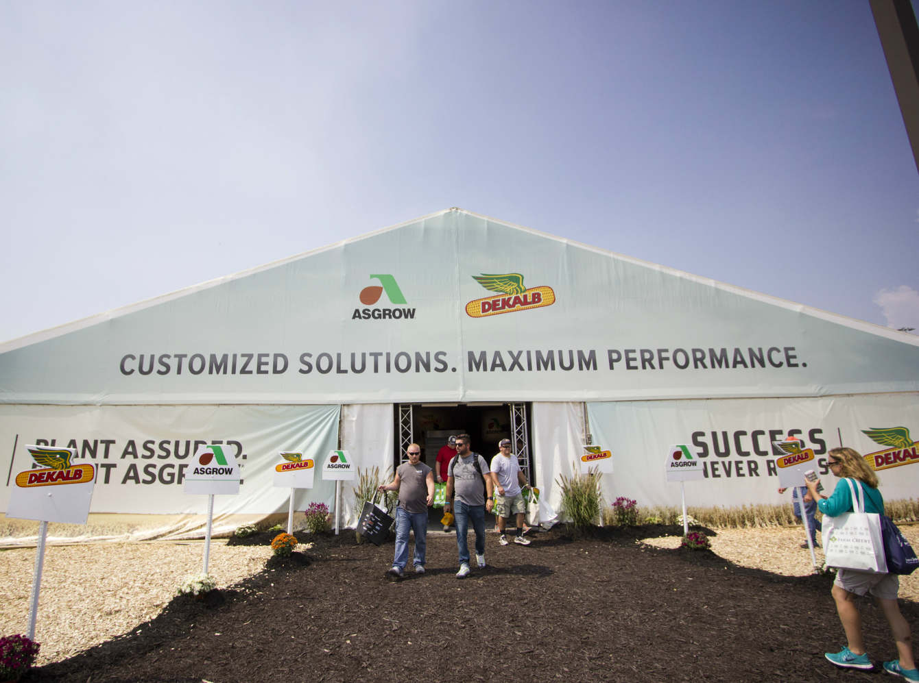 Asgrow / DEKALB - Danielle Janota