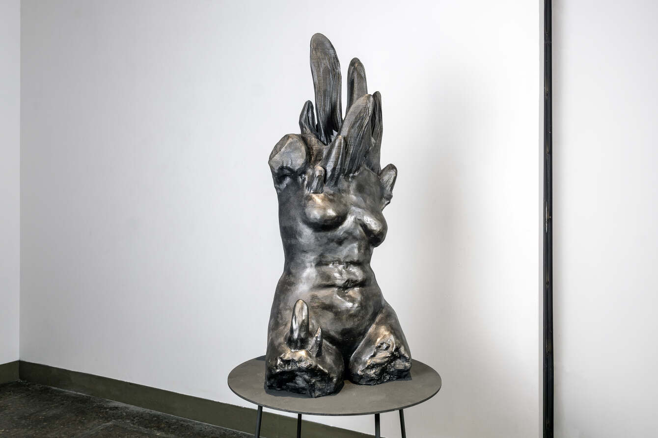 Massospora Cicadina - Hanna Makkonen