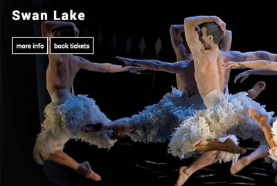 Swan lake - Yael Raz