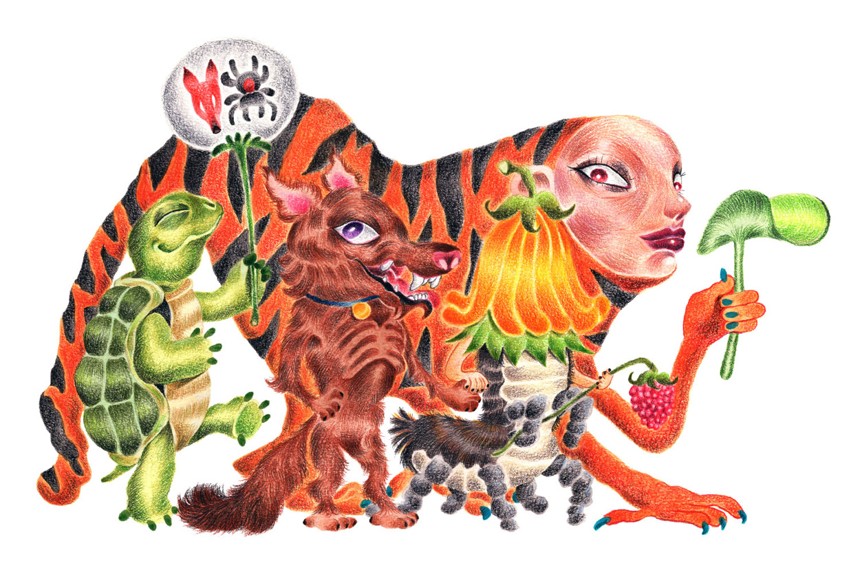 Joy San Illustration