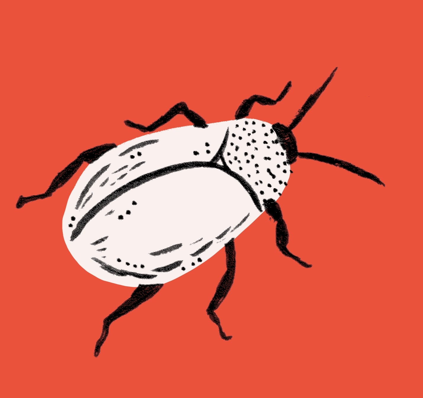 Cuckmere Haven walking map - Olivia Waller