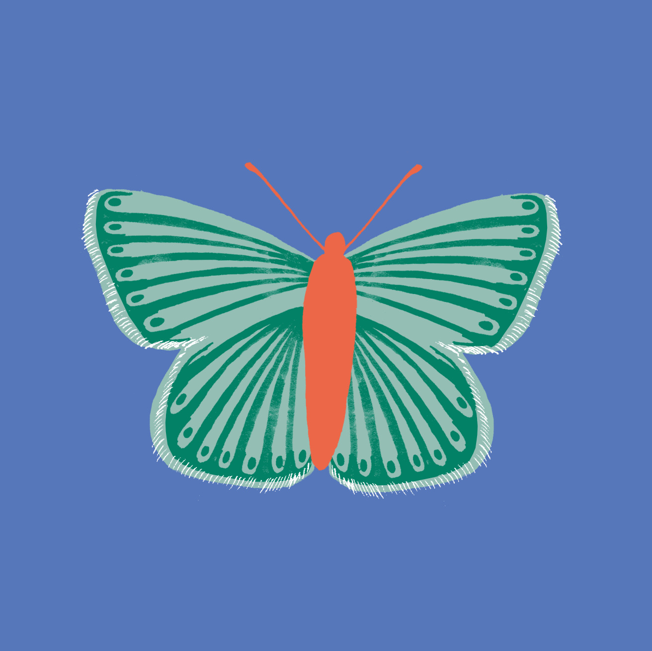 Cuckmere Haven walking map - Olivia Waller