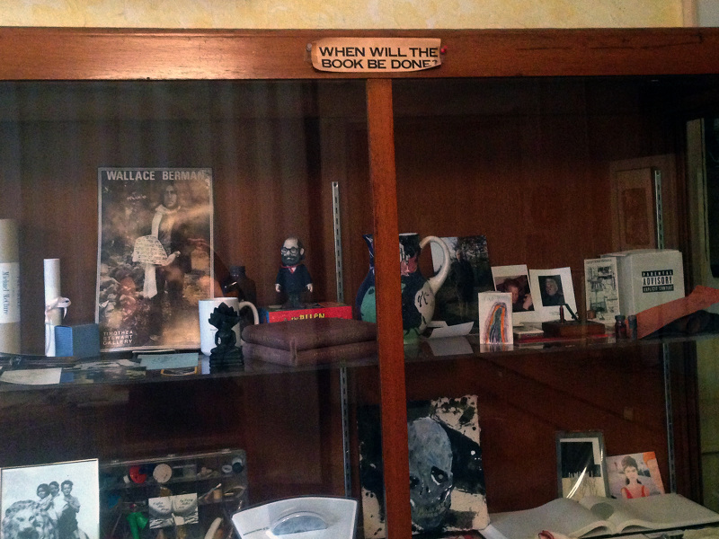 Steve Clay - The book is ...