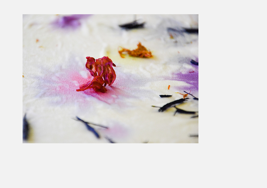 FLORIOLOGY - Thérèse Bruguerolle