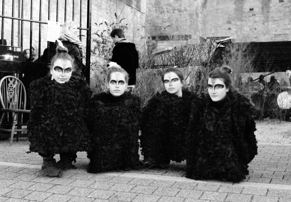 Unfledged Birds - Hazel Powell