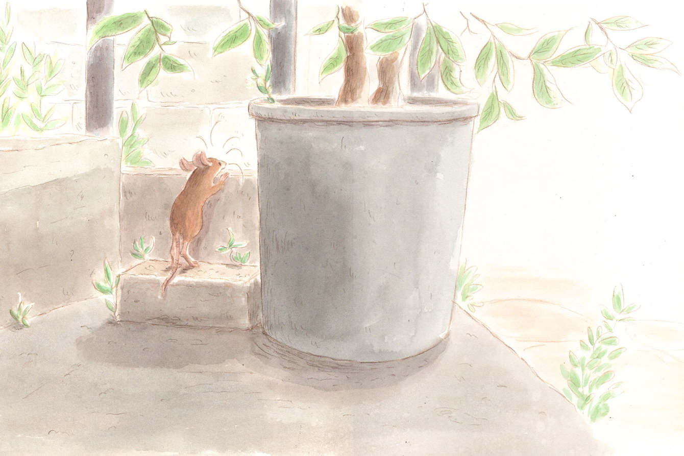 Monty Mouse | Picturebook - Angela Cogo