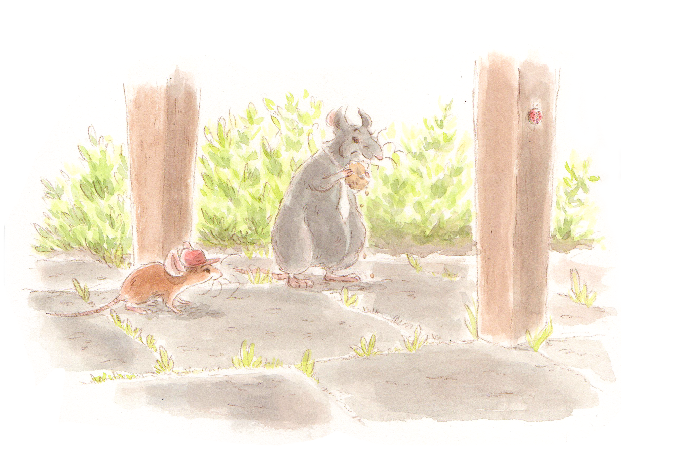 Monty Mouse | Picturebook - Angela Cogo