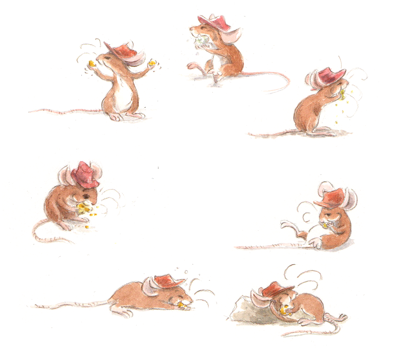Monty Mouse | Picturebook - Angela Cogo