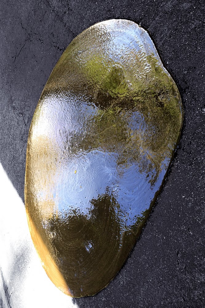 parking - Anthony Arciero Photography