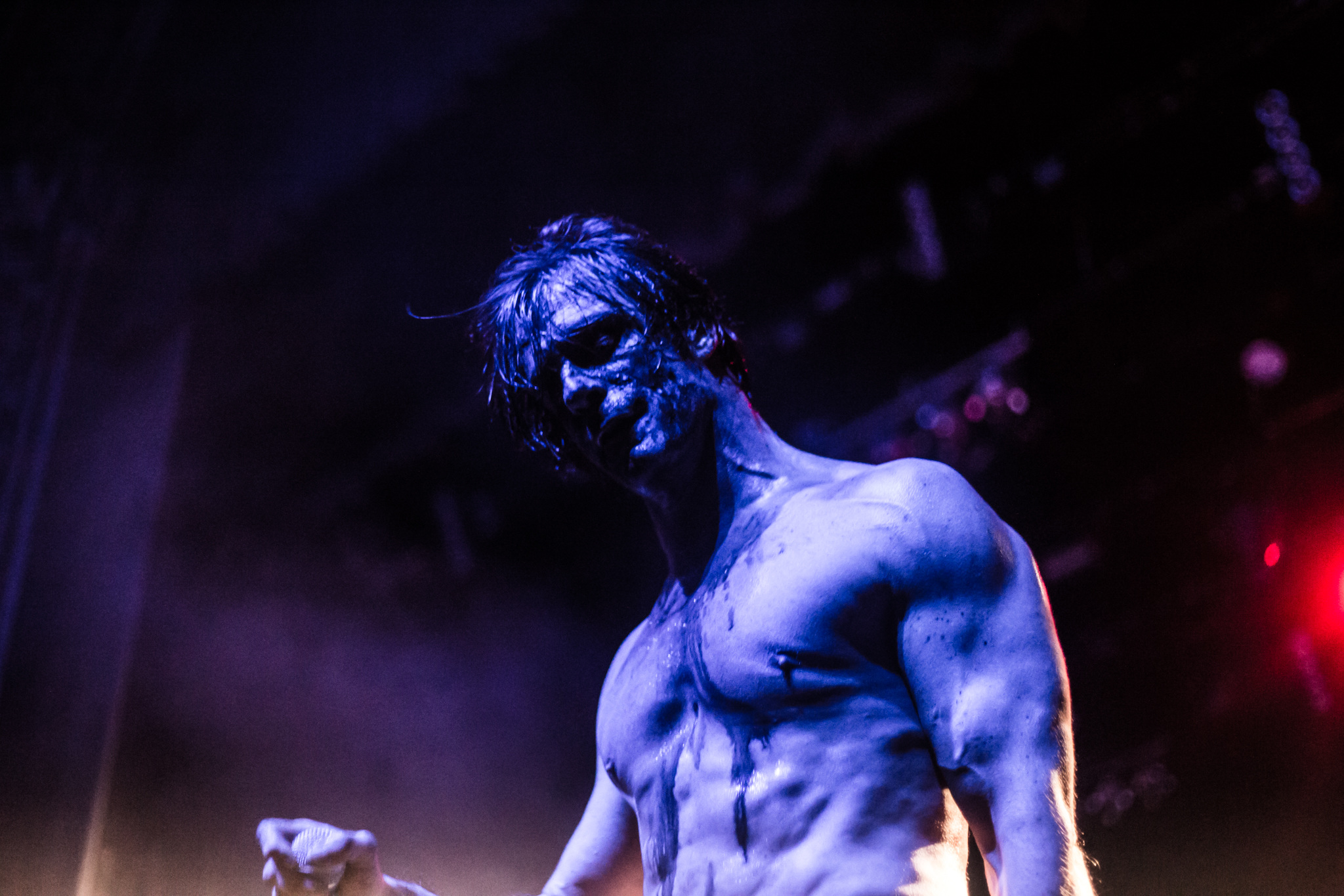 Bizarra Locomotiva - Mountain View Project