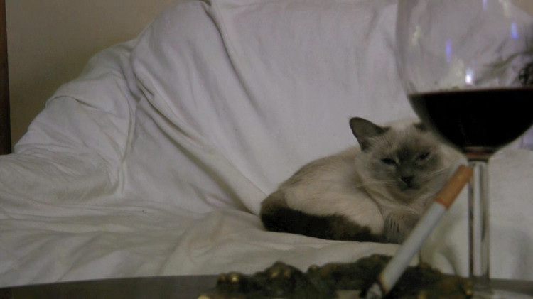 Autotheory - Lauren Fournier