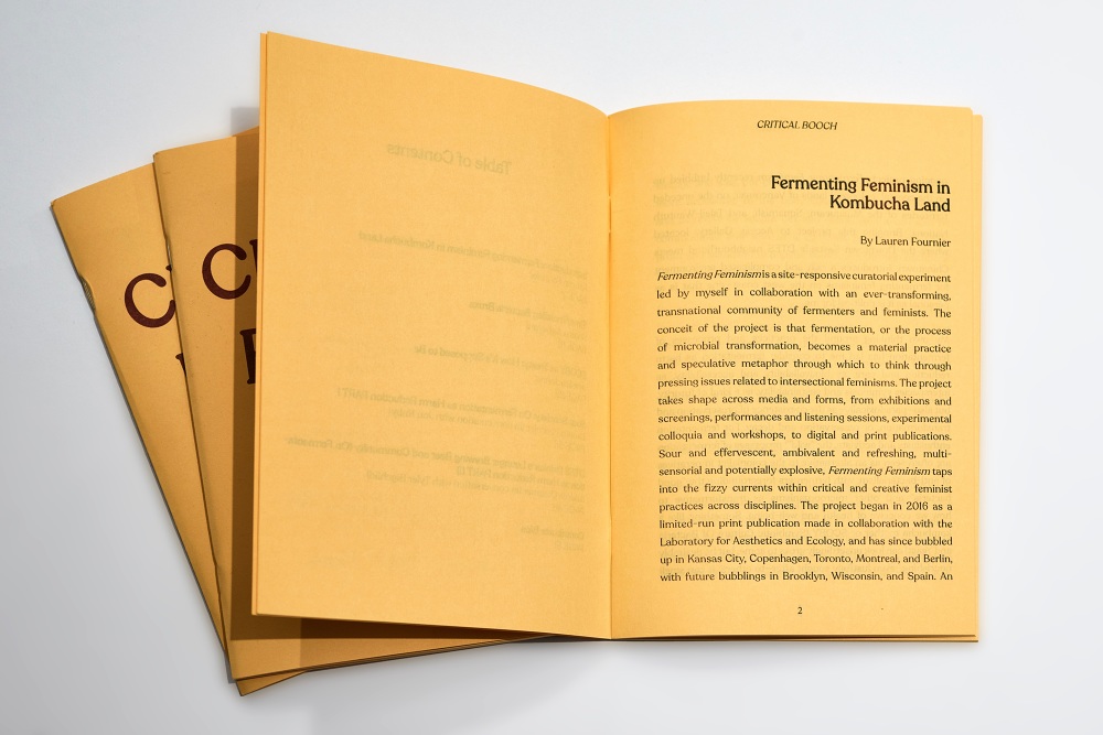 Critical Booch - Lauren Fournier