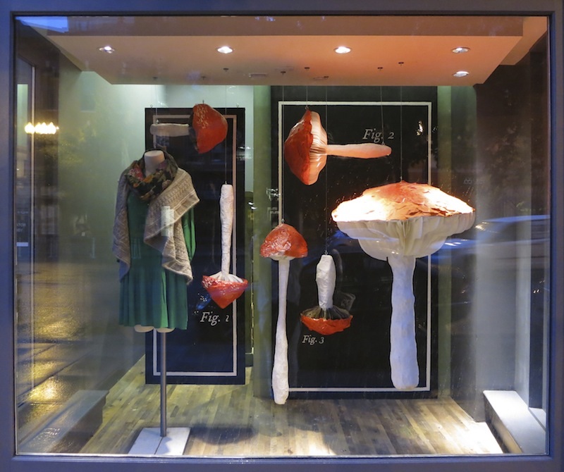 Window Props - Katlyn D'Angelo