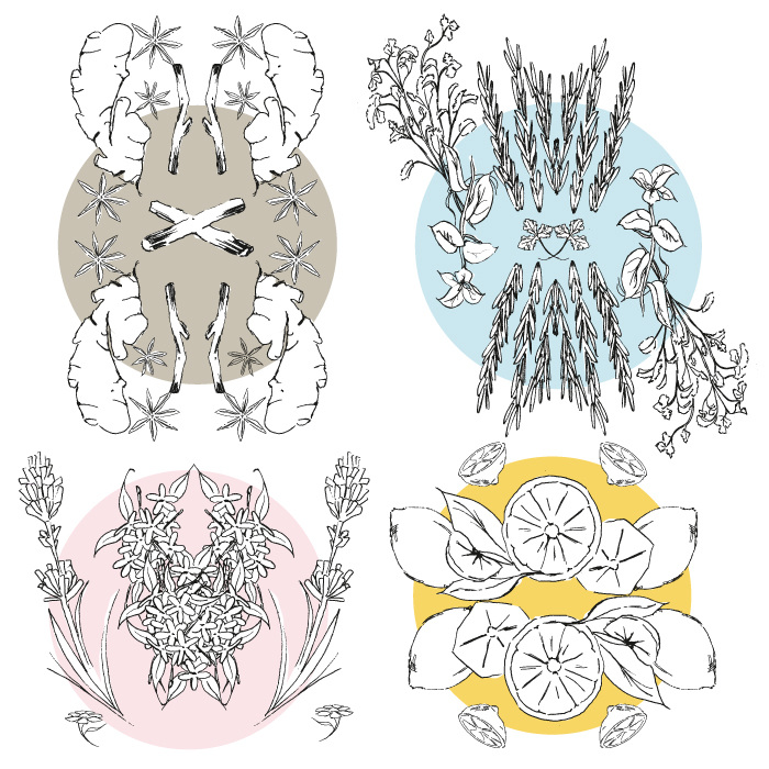 GIN FLAVOUR MAP - Graphic Design & Illustration - Geles Tomas