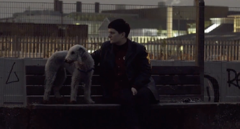 Strays - scout stuart