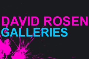 DAVID ROSEN GALLERIES - GALLERY MOMENTUM