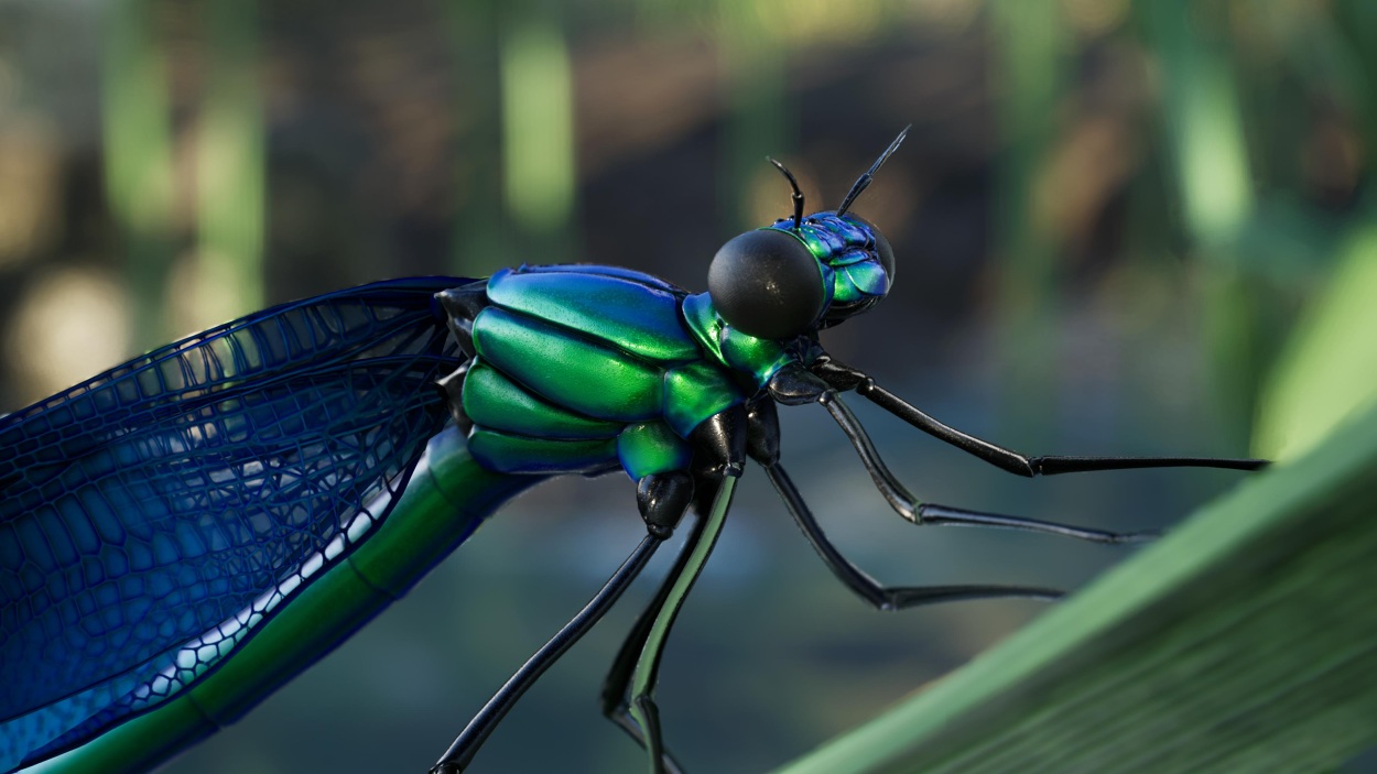 Birdly: Insects - Simon Pfaff - Game Design & Production