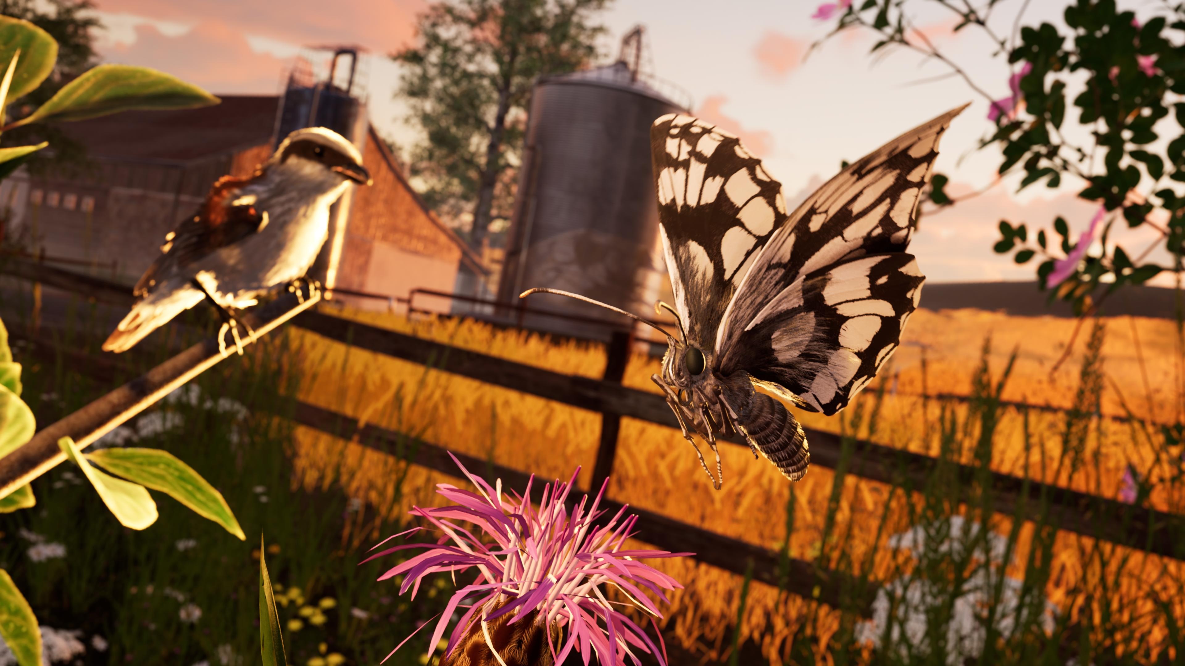 Birdly: Insects - Simon Pfaff - Game Design & Production