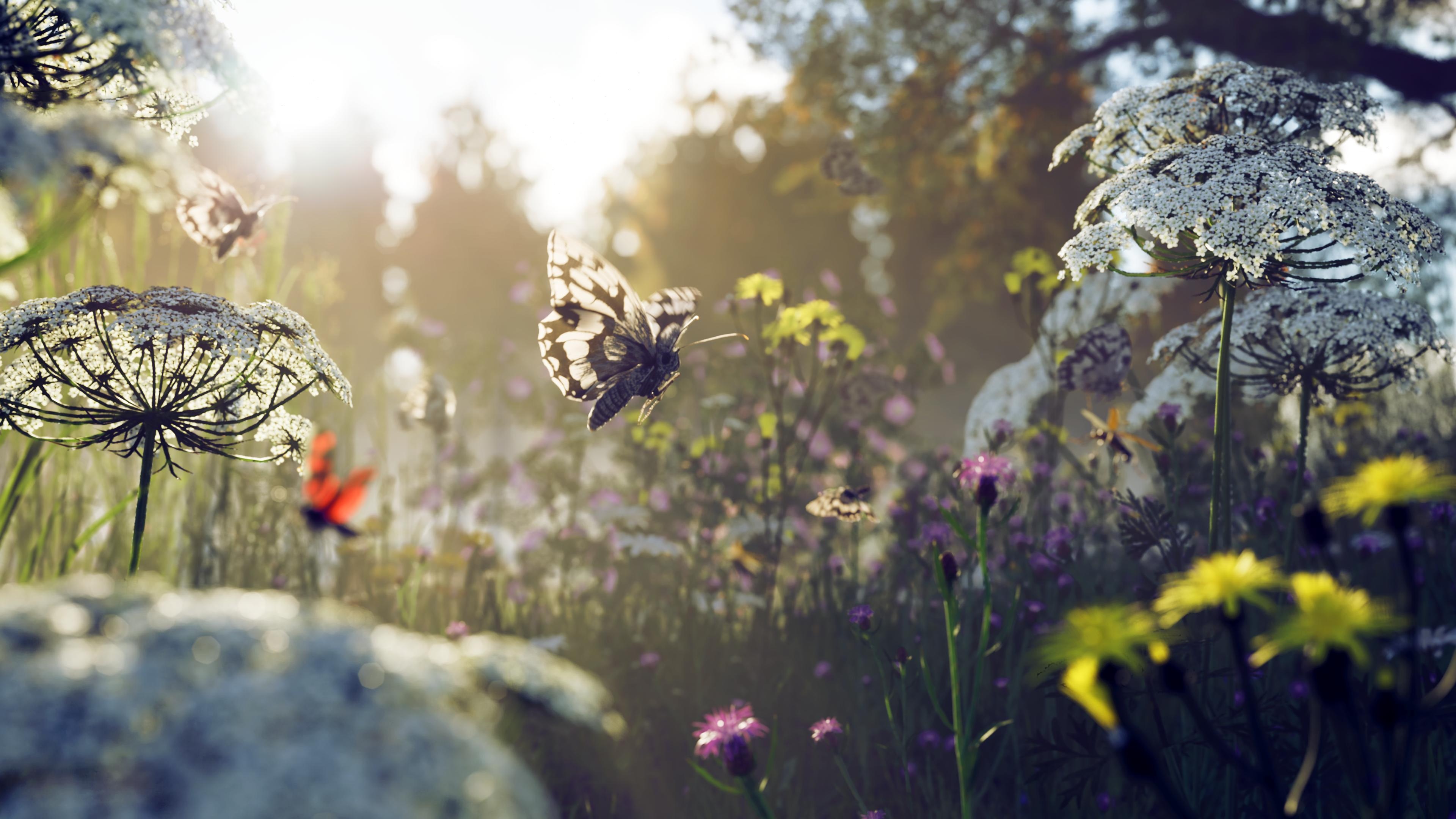 Birdly: Insects - Simon Pfaff - Game Design & Production