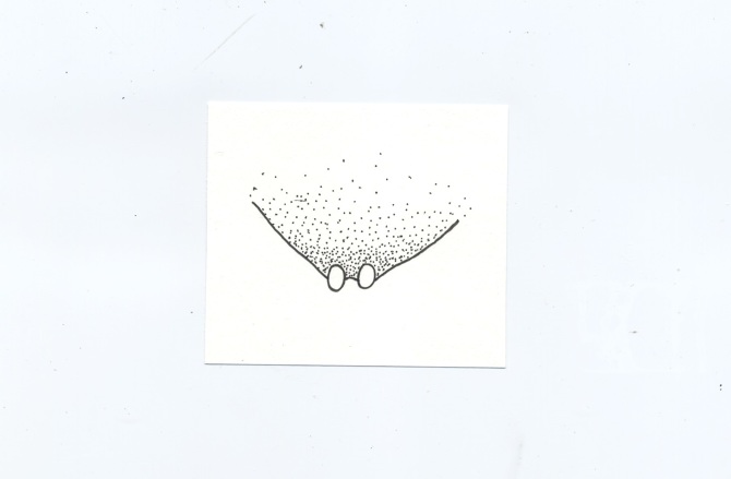 Imke Simons