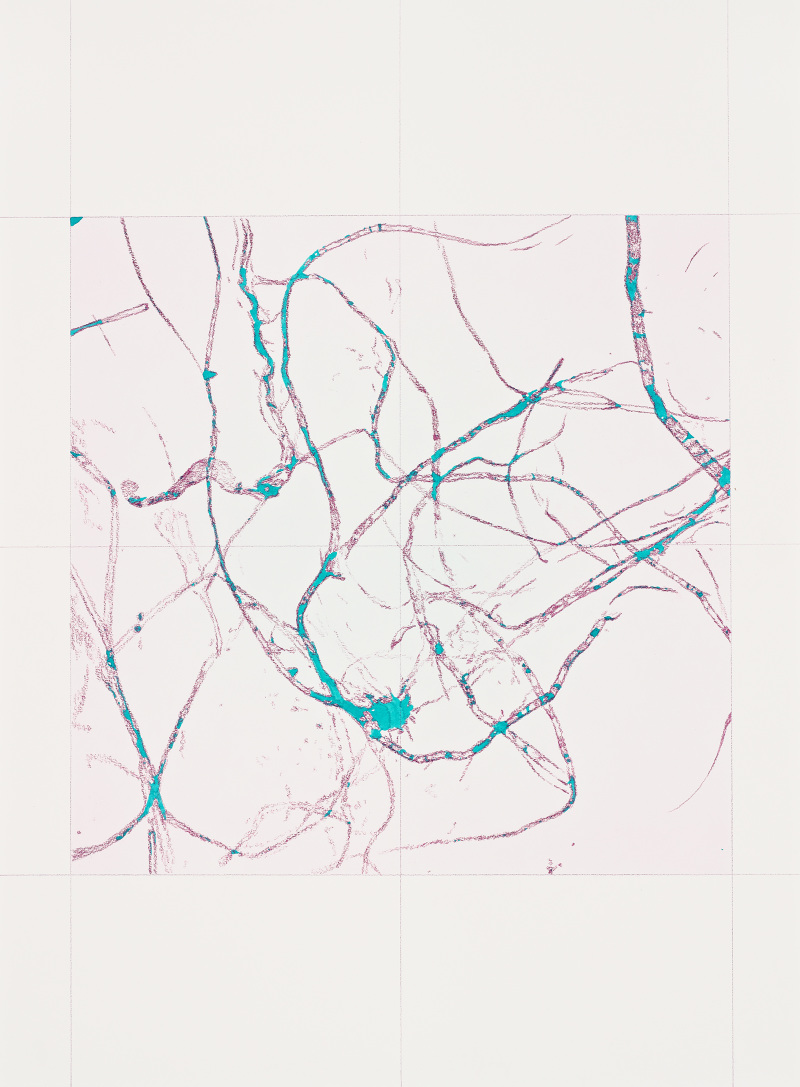 X90-416/90-84(A)/P1/T96/D37 - Polymorphous Perversity I - X90 Project