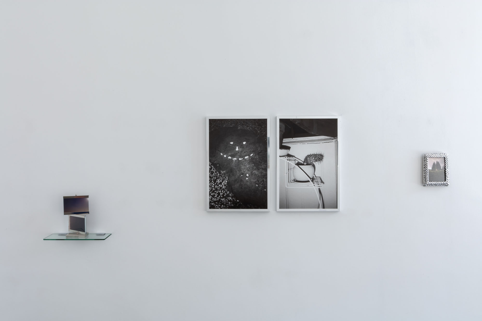 EVERYDAY DILEMMAS - www.juliastandovar.com