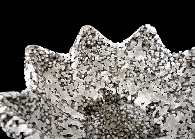 Bio-responsive Bloom (Material part) - THE A LAB