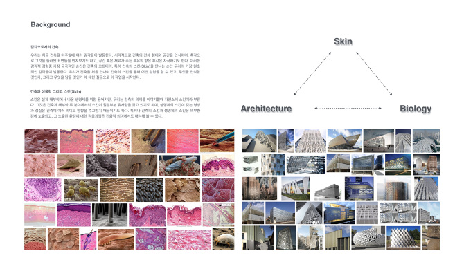 ALIVE : Architectural Living Skin (Research Part) - THE A LAB