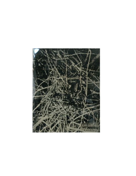 ferrotypes - rickcoulby