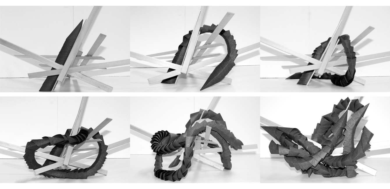 Expansion - Portfolio