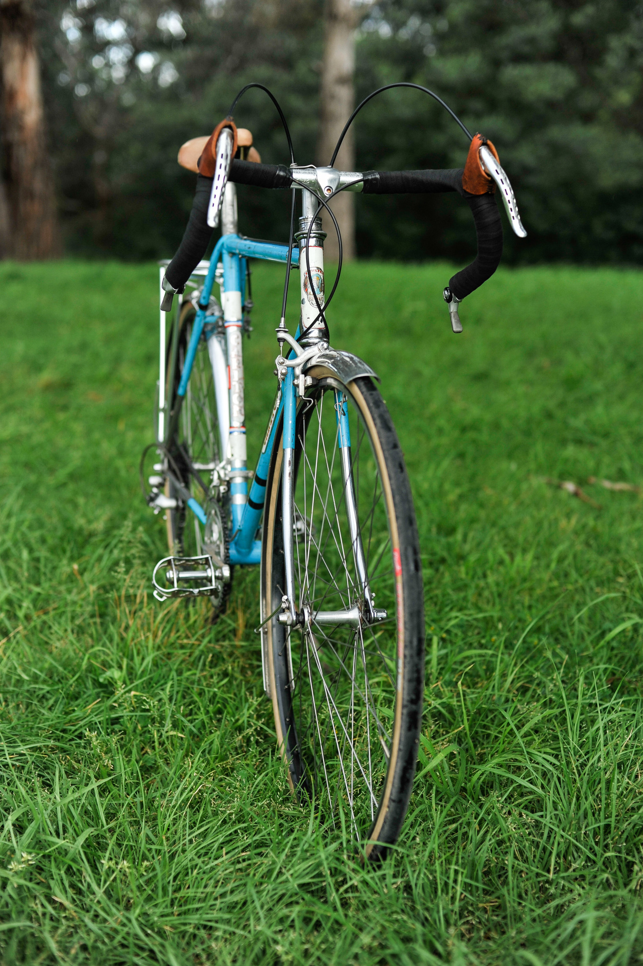 Carlton Professional - Tinker Bikes