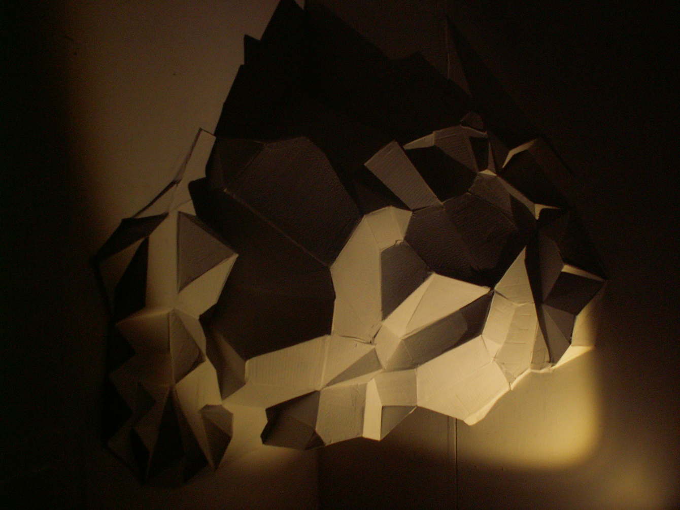 Installation - Sarah Ward