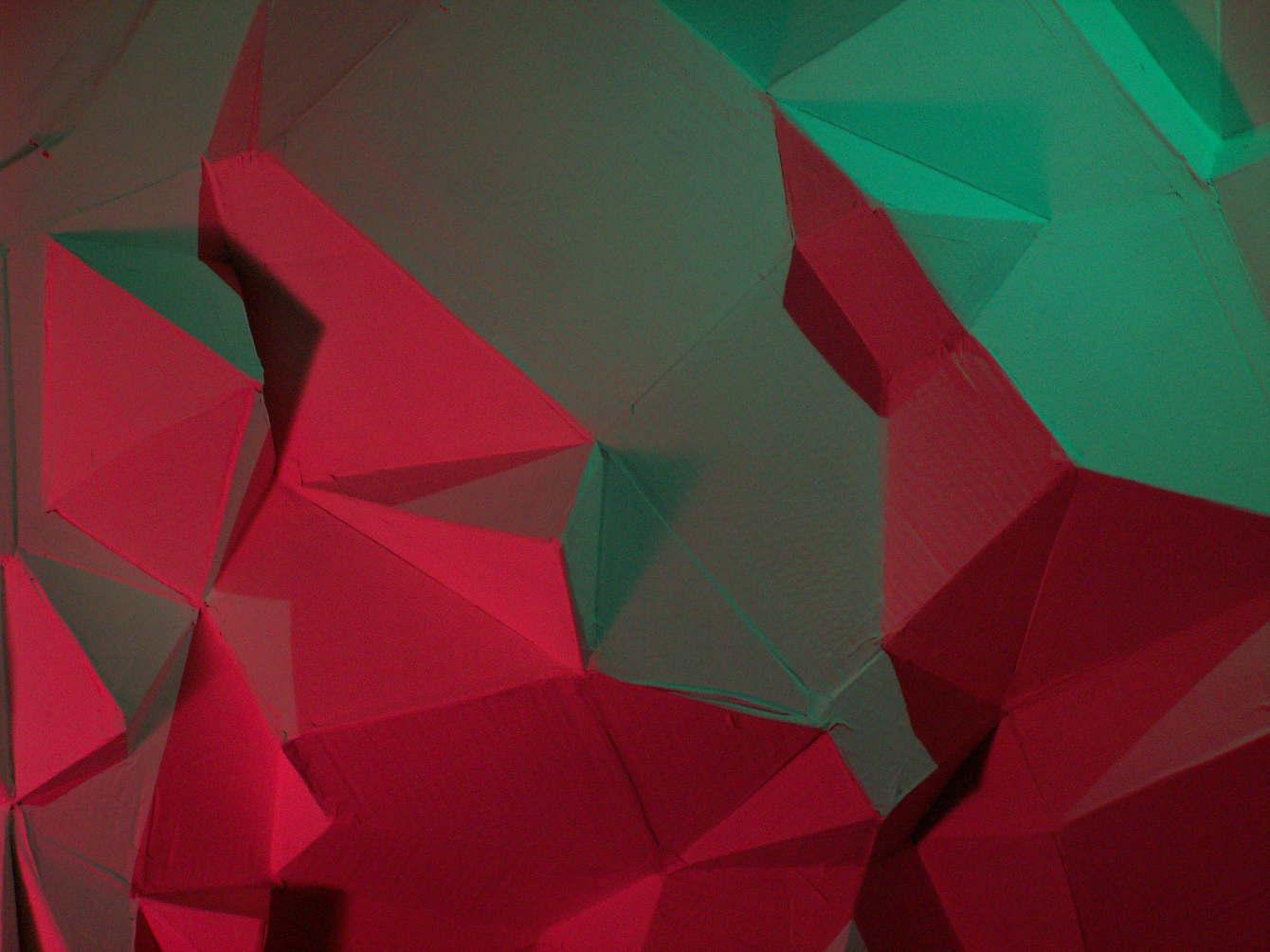 Installation - Sarah Ward