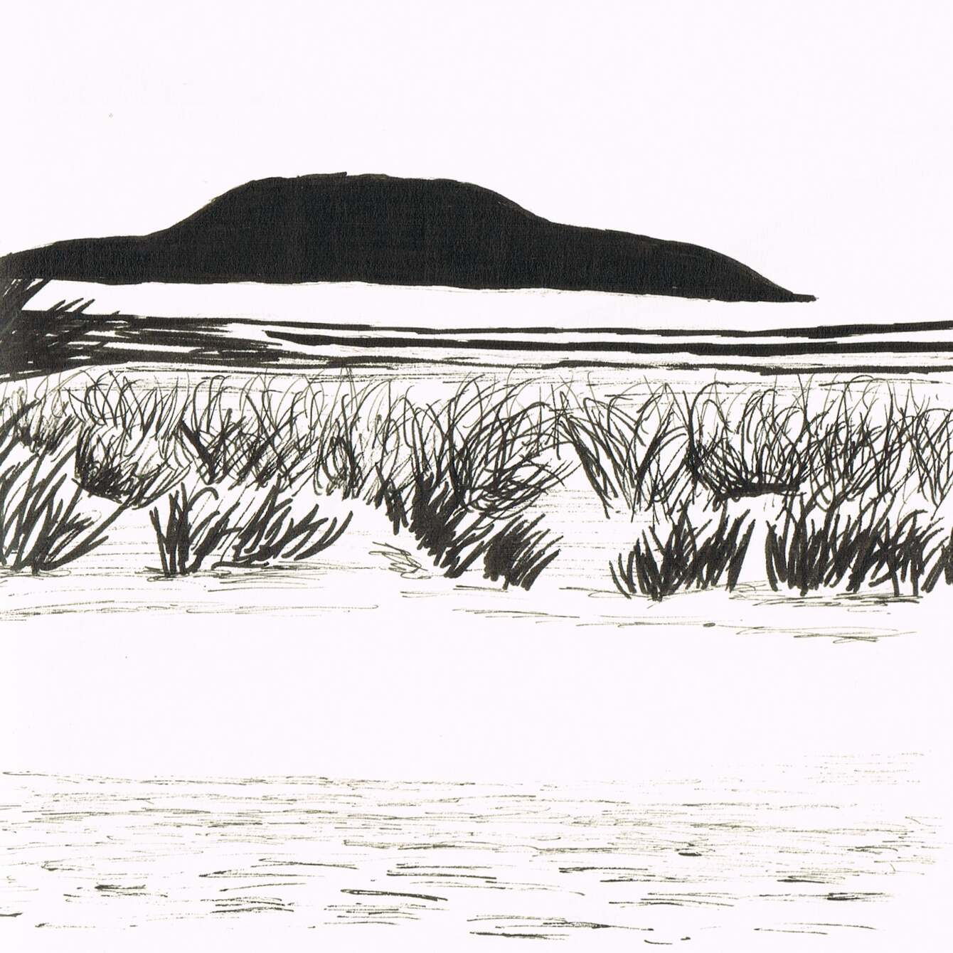 Drawings - Sarah Ward