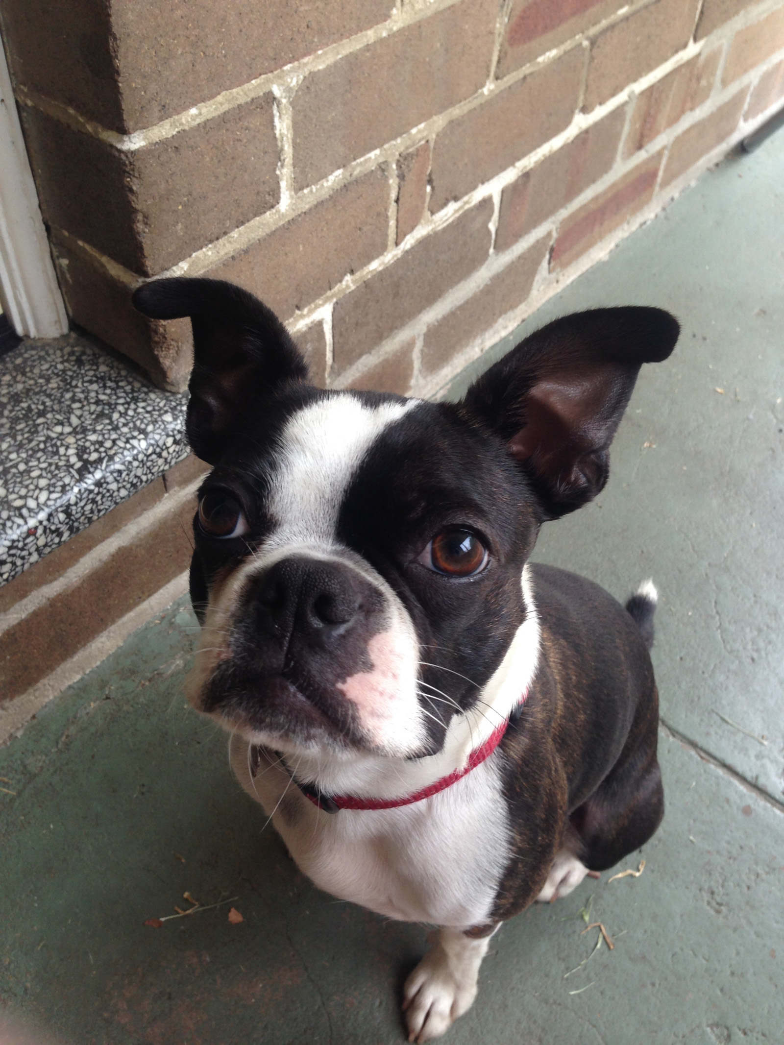 Michael Lipari - Ashfield Harmony Wall