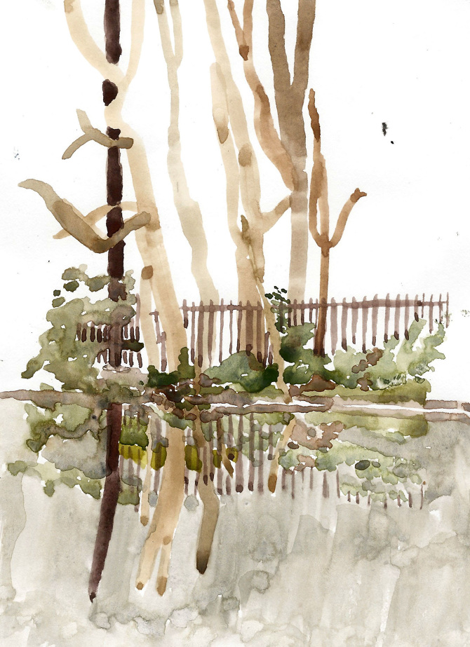 Ladies' Pond - Apoa Falby Clark