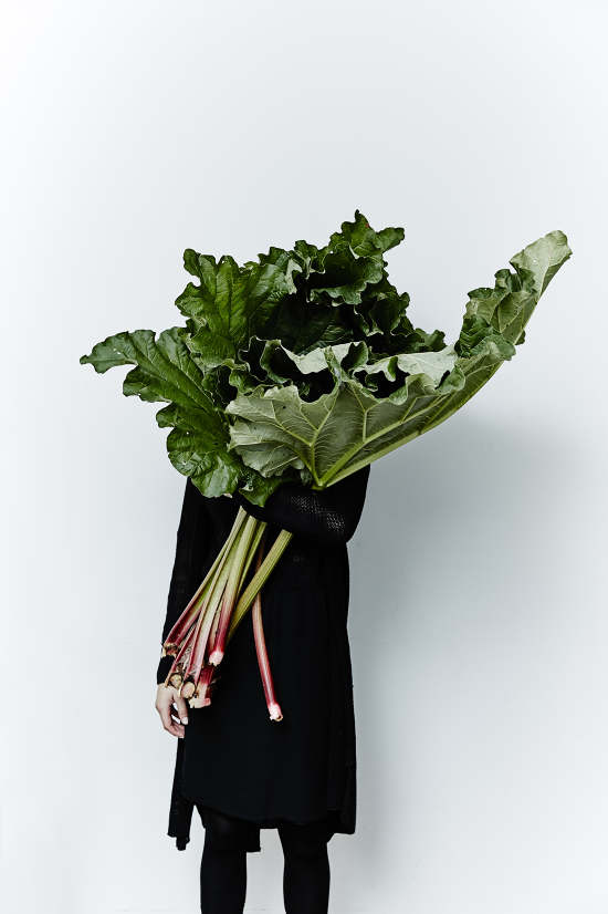 Rabarberi - foodisart.photography
