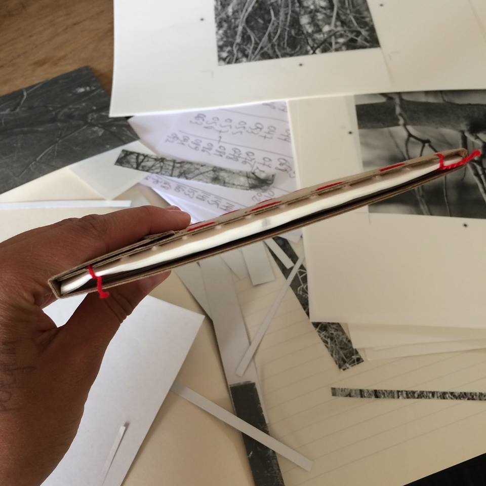 Gleichgesinnte - Emilie Lauwers