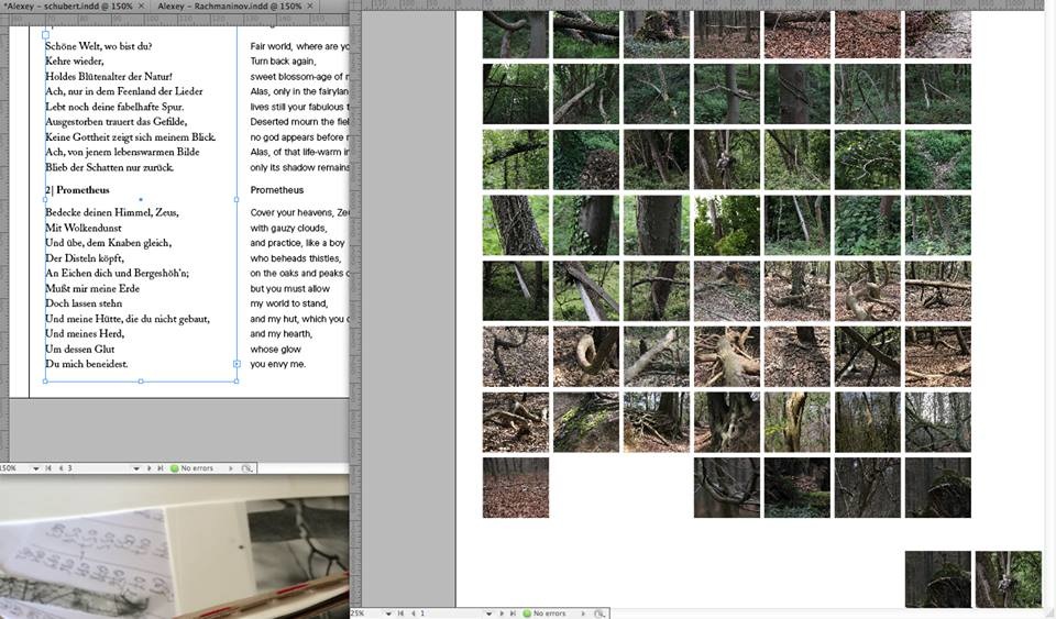 Gleichgesinnte - Emilie Lauwers
