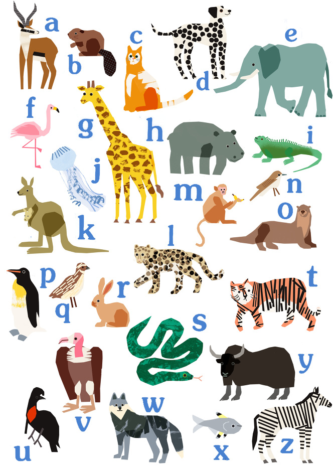 Animal Alphabet - Lizzie Lomax