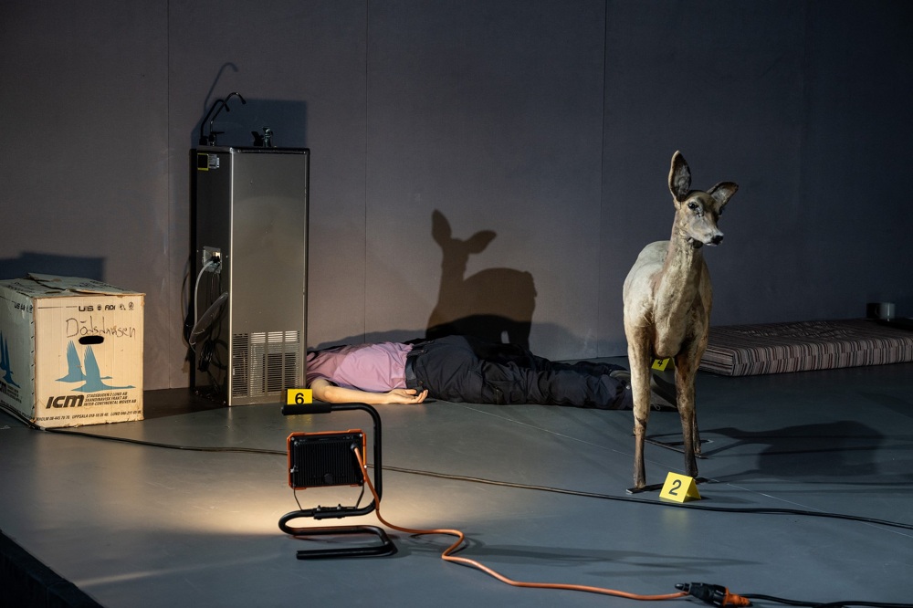 Nordic crime - Moa Möller