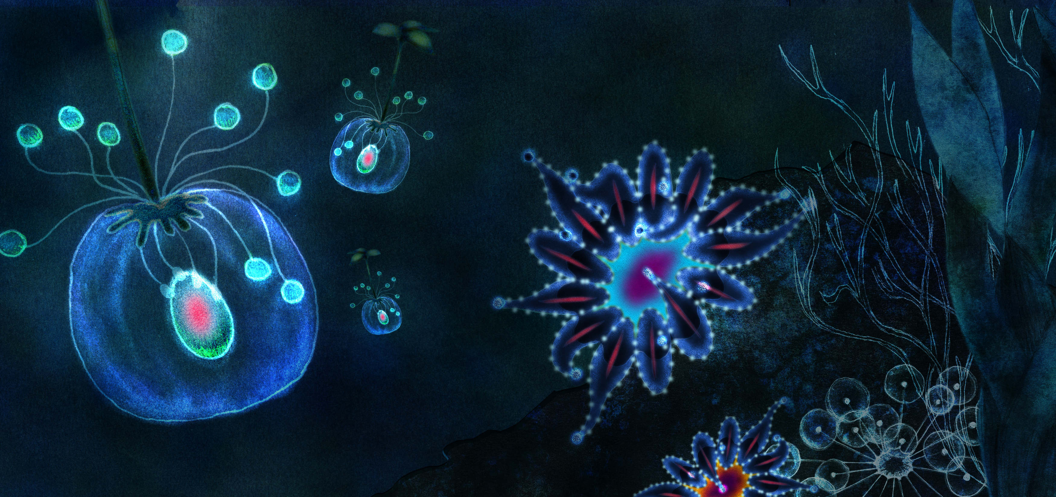 Deep Sea - Design Like U Mean It