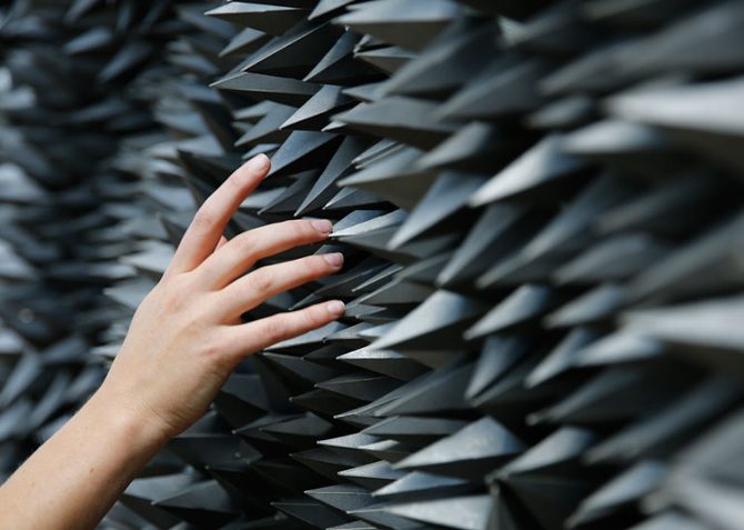 seismonastic scape - Paula van Brummelen