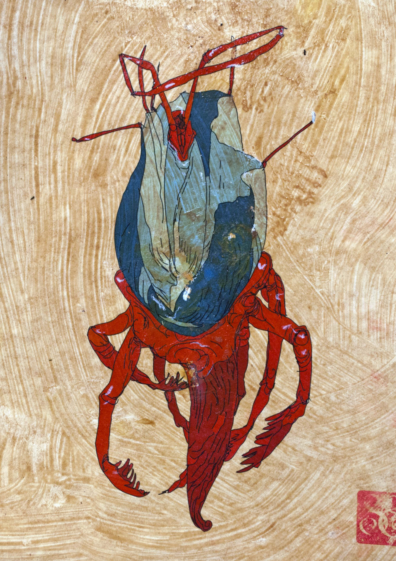 PEWA II - SPF Projects